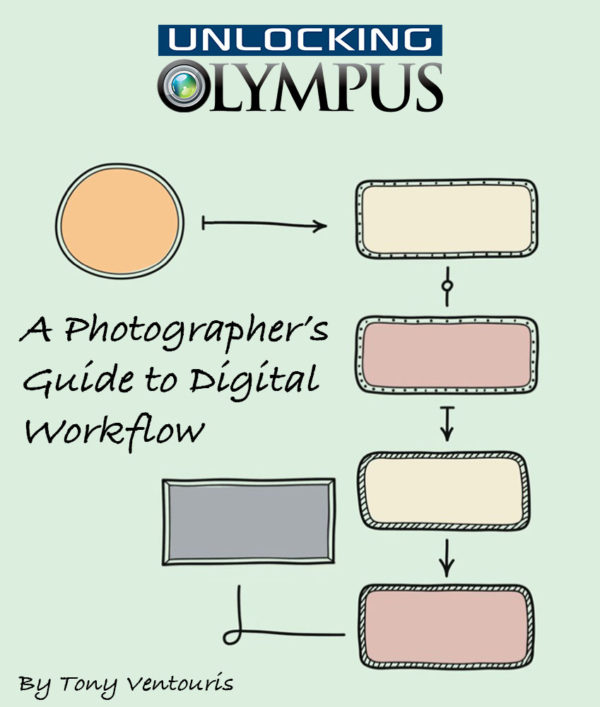 A Photographer's Guide To Digital Workflow | Unlocking Olympus
